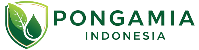 Apa itu Elite Pongamia pinnata ? – Pongamia Indonesia | Energi Hijau ...